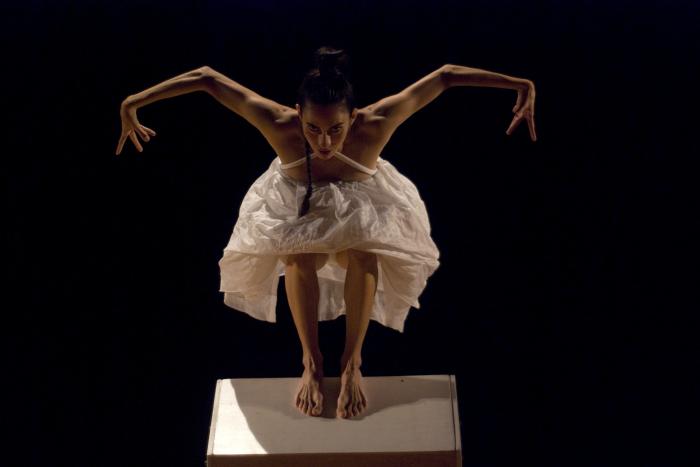 Sakura | Secretaría de Cultura